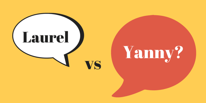 LAUREL VS YANNY: GCRS sound expert explains why we hear differently ...